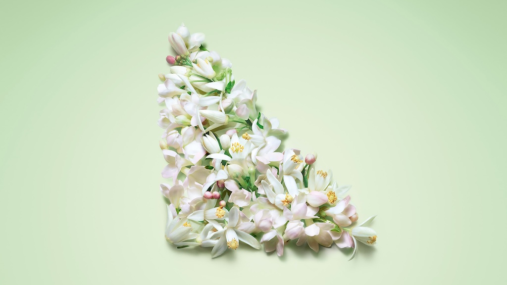 Prada fusiona tecnología y creatividad en Paradoxe Virtual Flower - 25 ...