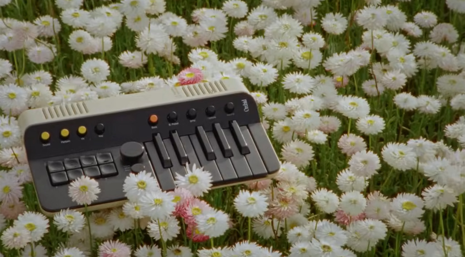 Kevin Parker anuncia el lanzamiento de "The Orchid", una máquina de ...