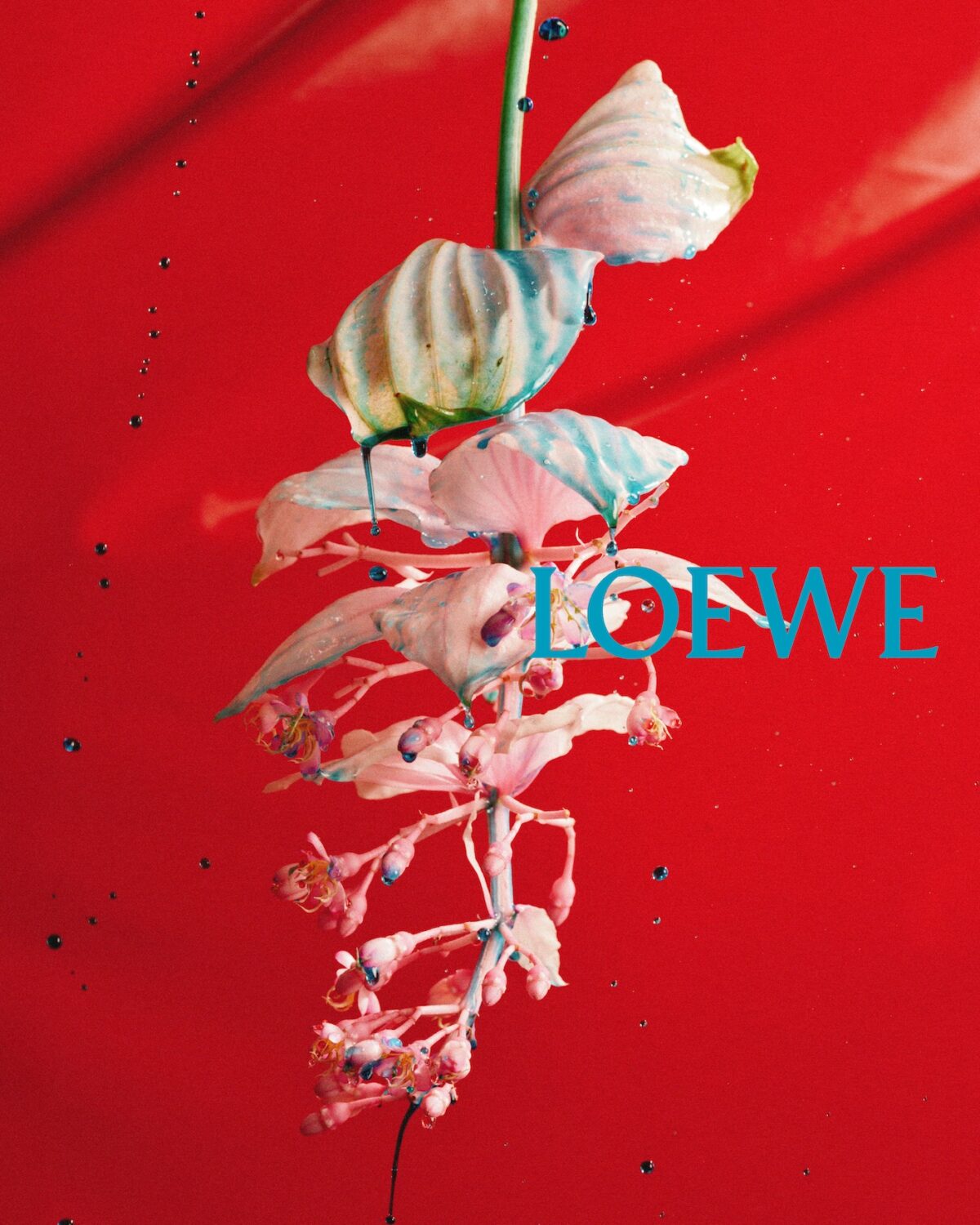 Primer vistazo al LOEWE de Jack McCollough y Lazaro Hernandez - 25 ...